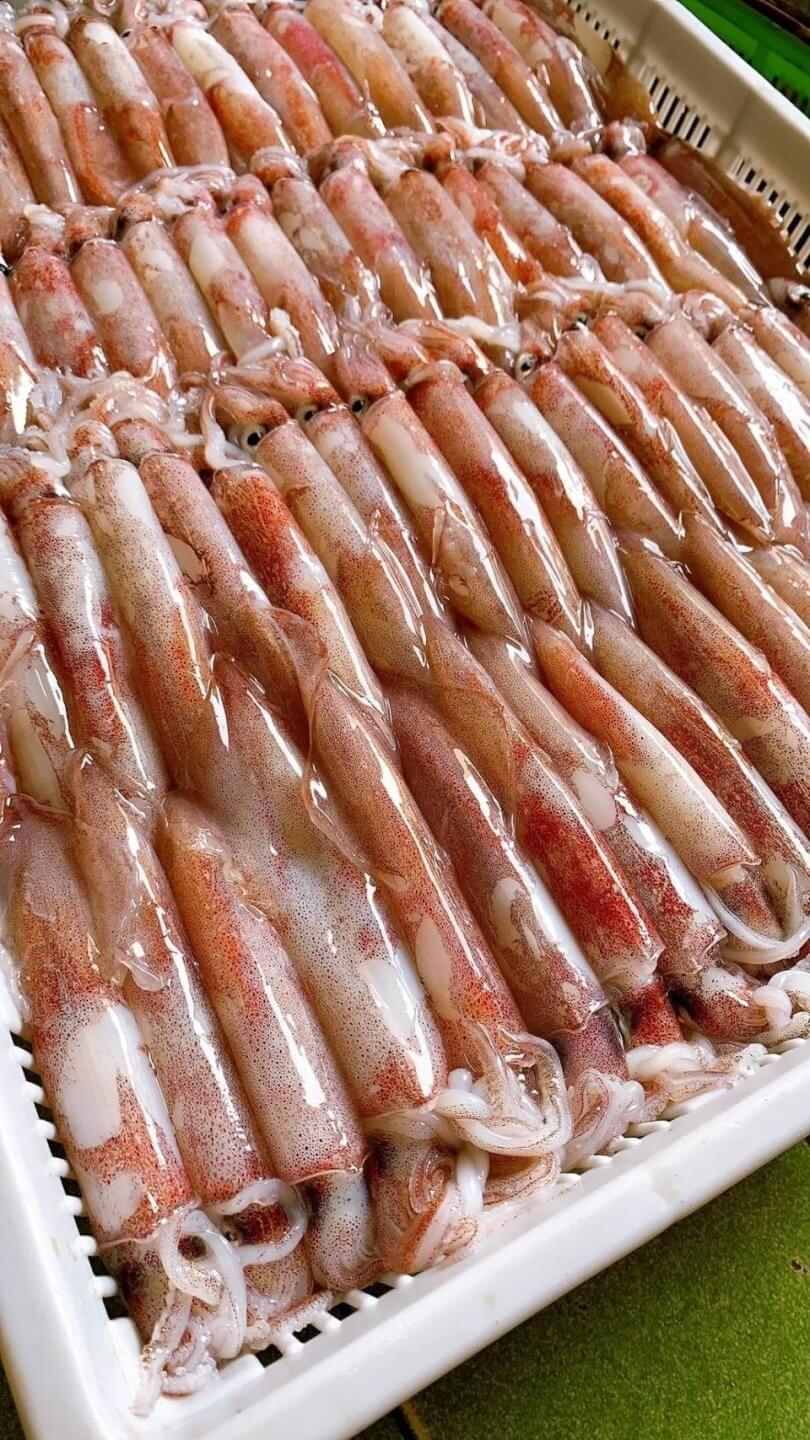 秋季必吃澎湖海鮮TOP10｜加碼購滿500元送100元活動 讓你吃的開心荷包省心 | beanfun!